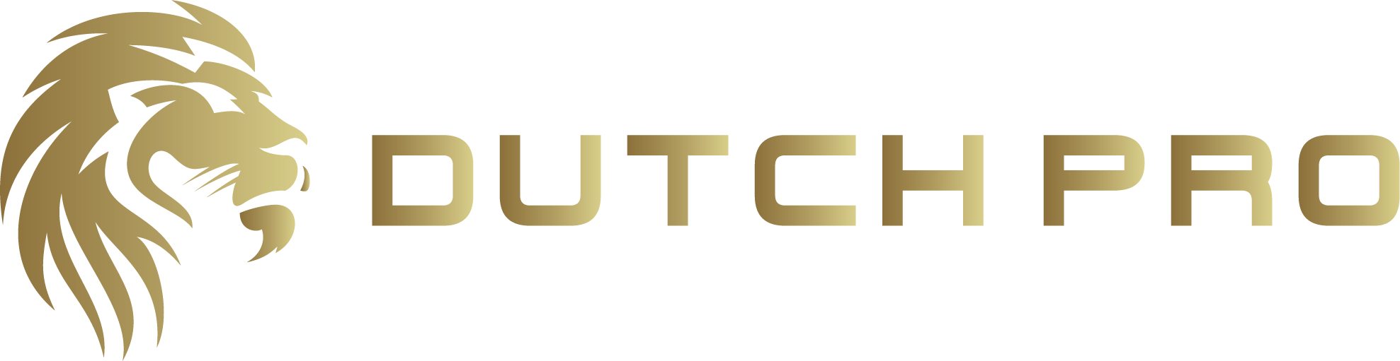 Dutch Pro Systems